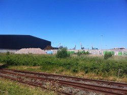 A walk in Rotterdam: Heijplaat : Ellen's blog